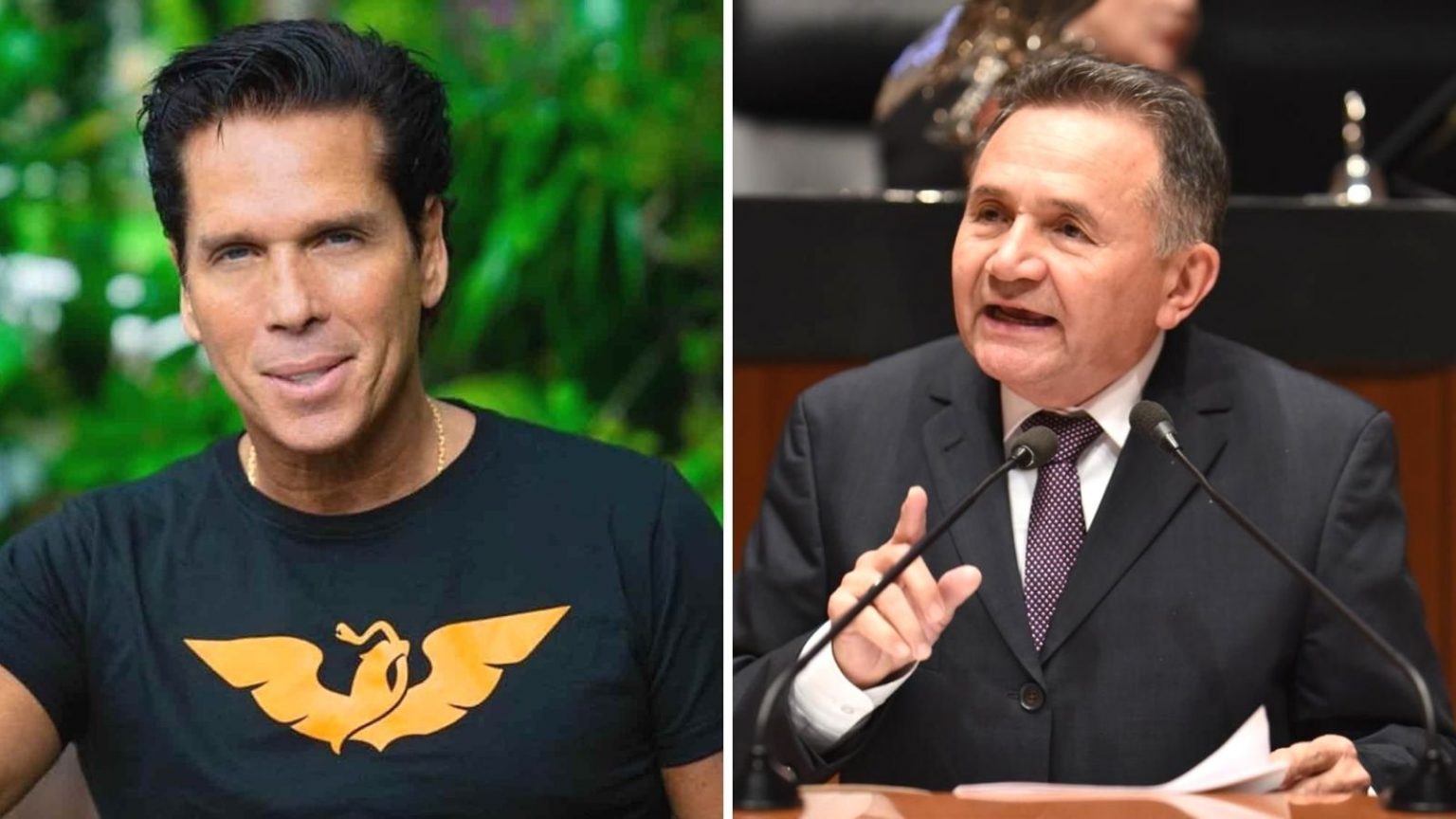 ¿retiran Precandidatura A Gubernatura De Quintana Roo De Roberto