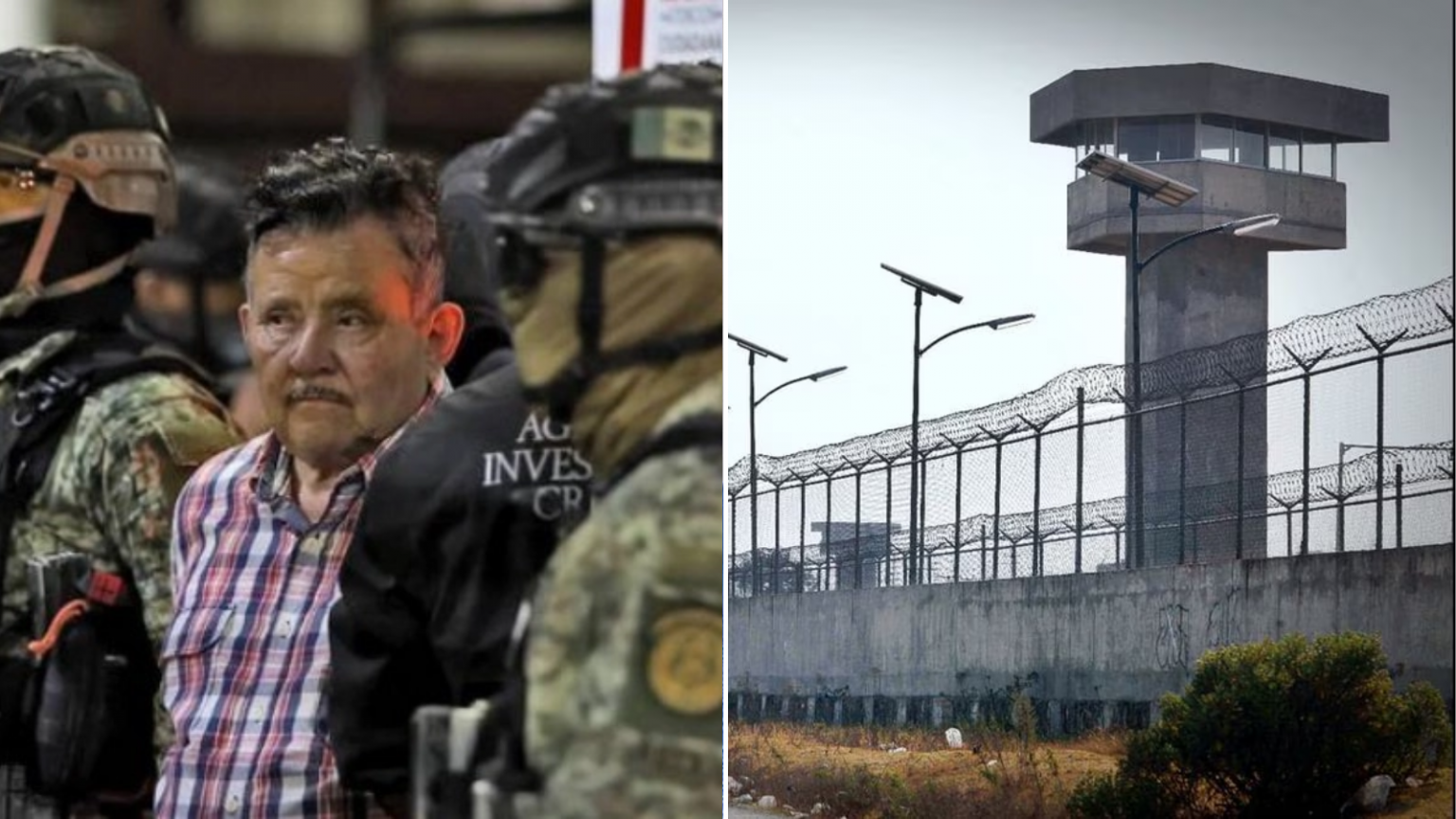 Don Rodo está libre; hermano de El Mencho abandona el Altiplano ...